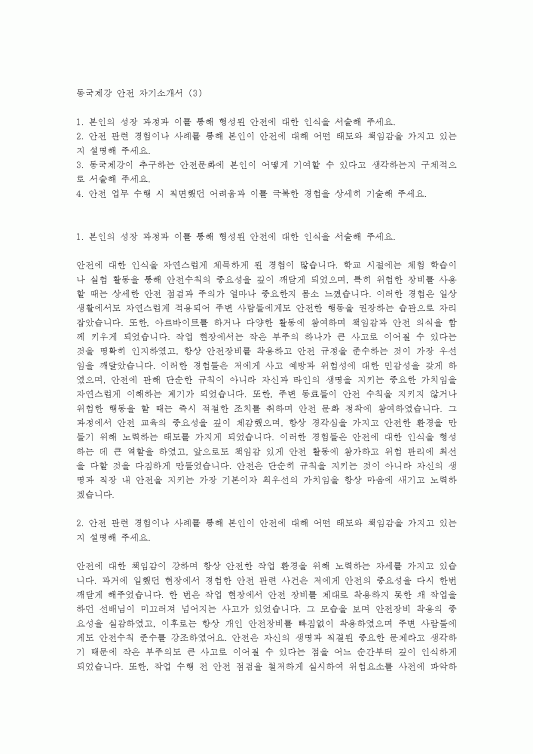 동국제강 안전 자기소개서 (3)