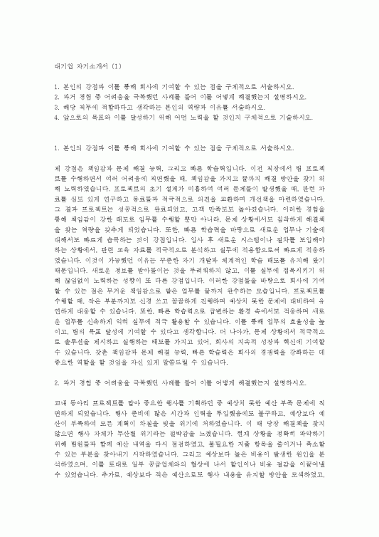 대기업 자기소개서 (1)