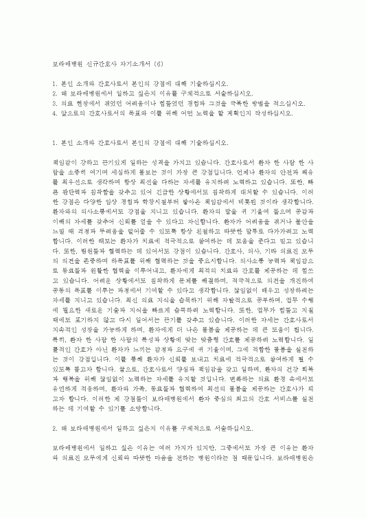 보라매병원 신규간호사 자기소개서 (6)