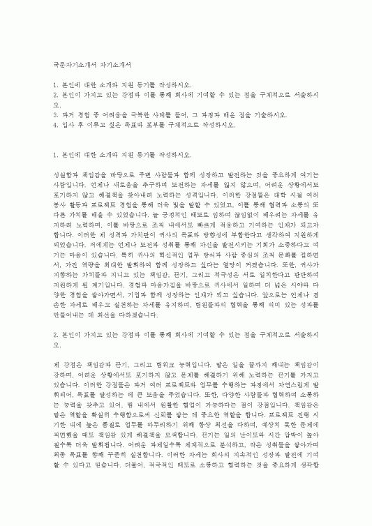 국문자기소개서 자기소개서