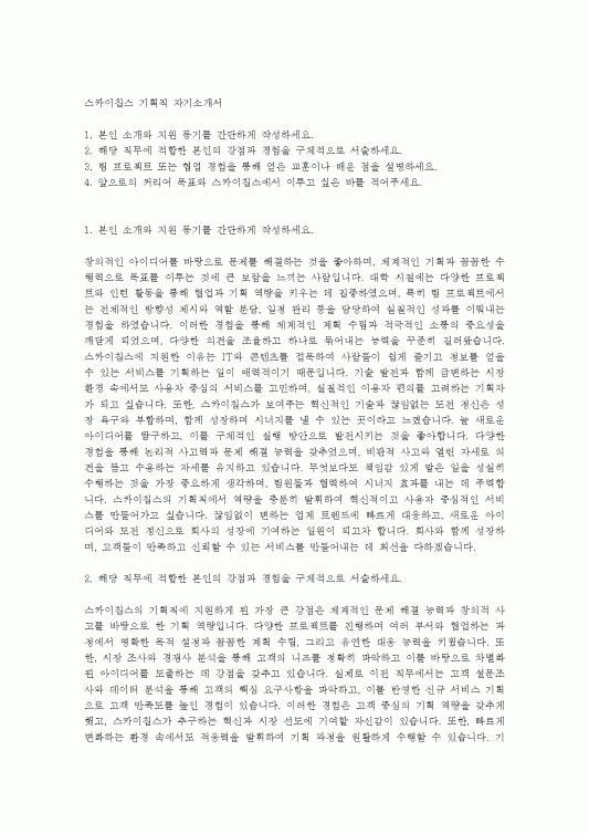 스카이칩스 기획직 자기소개서
