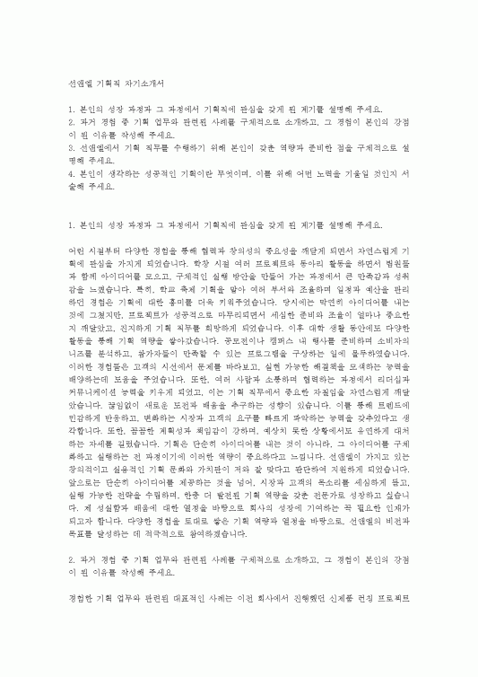 선앤엘 기획직 자기소개서