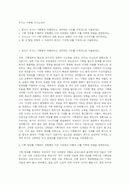 뉴시스 기획팀 자기소개서