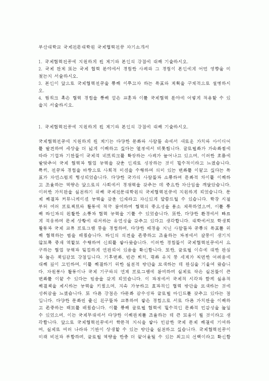 부산대학교 국제전문대학원 국제협력전공 자기소개서