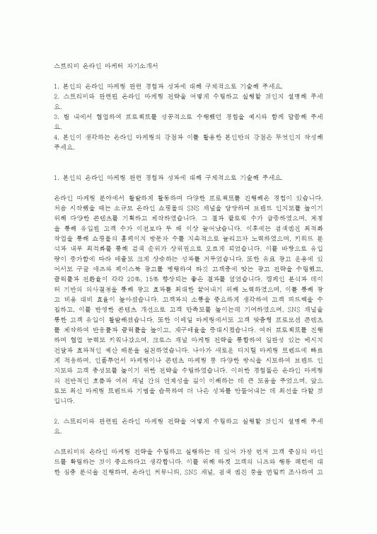 스트리미 온라인 마케터 자기소개서