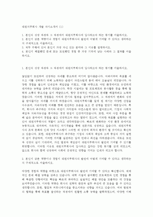 대원지주회사 개발 자기소개서 (1)