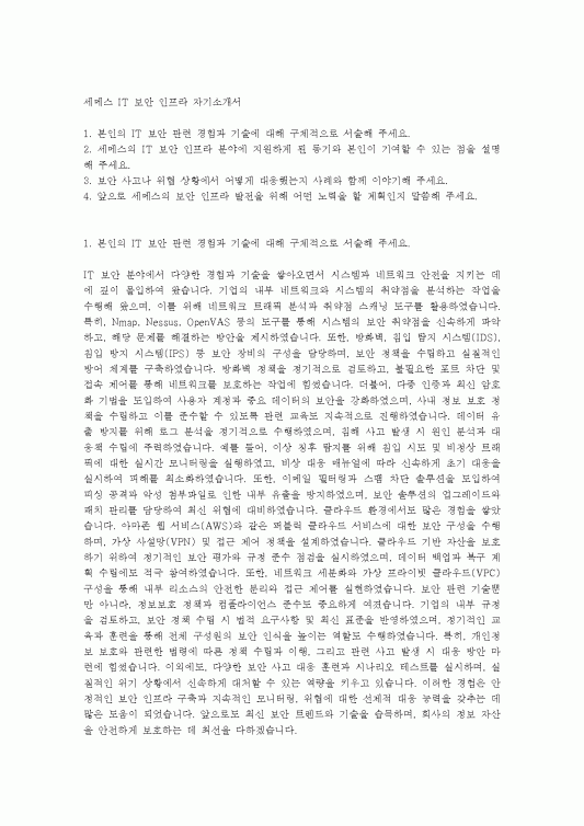 세메스 IT 보안 인프라 자기소개서