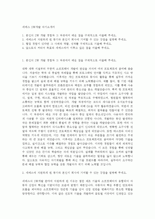 세메스 SW개발 자기소개서