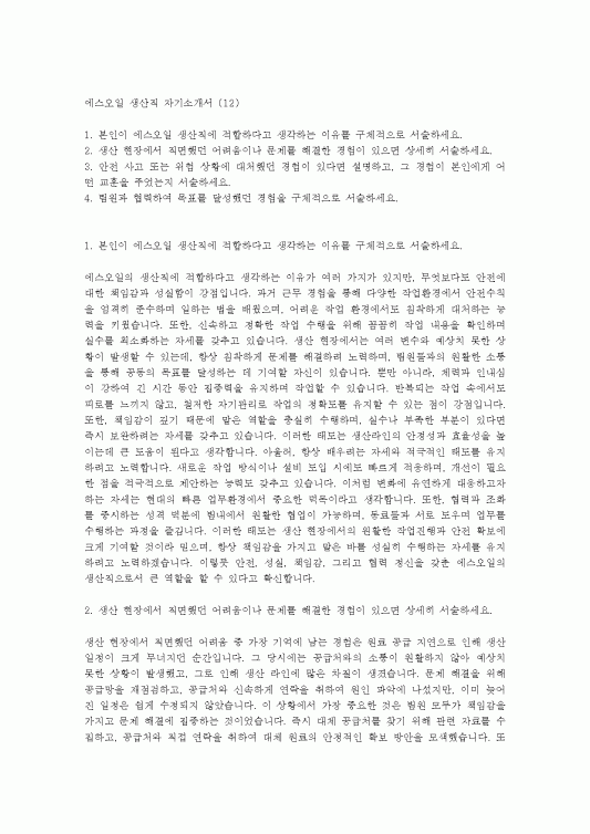에스오일 생산직 자기소개서 (12)