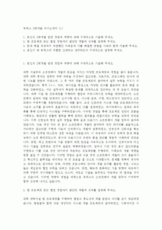 뷰웍스 SW개발 자기소개서 (1)