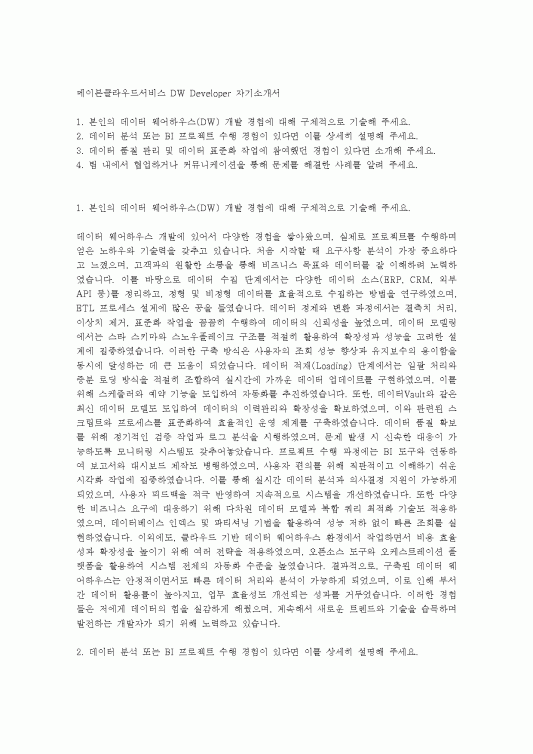메이븐클라우드서비스 DW Developer 자기소개서
