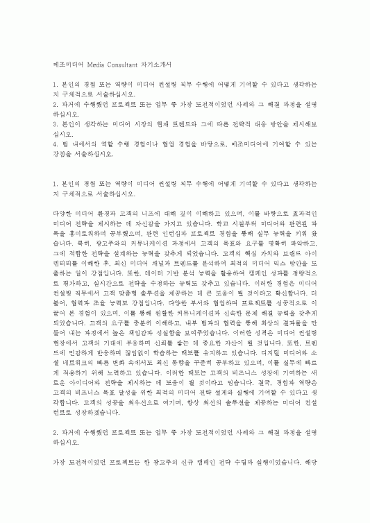 메조미디어 Media Consultant 자기소개서