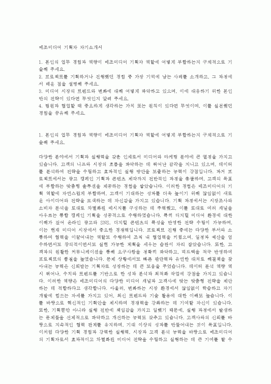 메조미디어 기획자 자기소개서