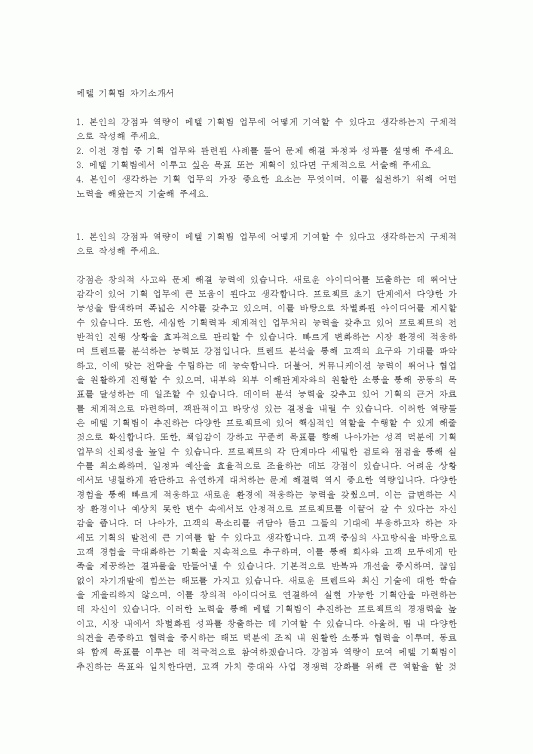 메텔 기획팀 자기소개서