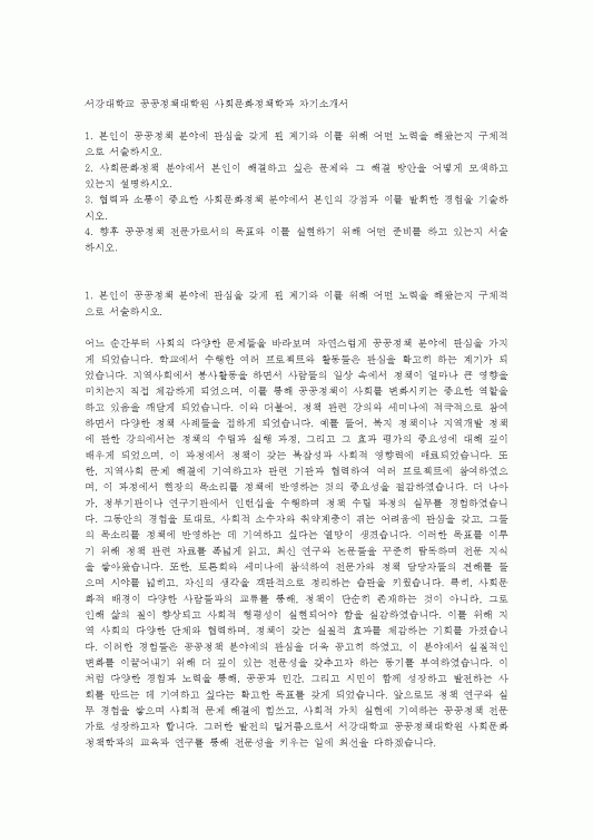 서강대학교 공공정책대학원 사회문화정책학과 자기소개서
