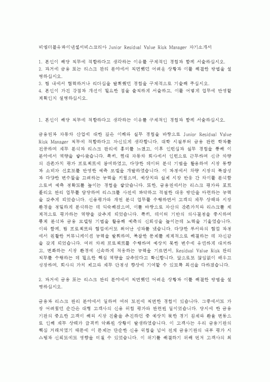 비엠더블유파이낸셜서비스코리아 Junior Residual Value Risk Manager 자기소개서