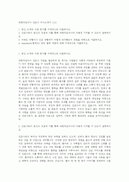 대한적십자사 간호사 자기소개서 (12)