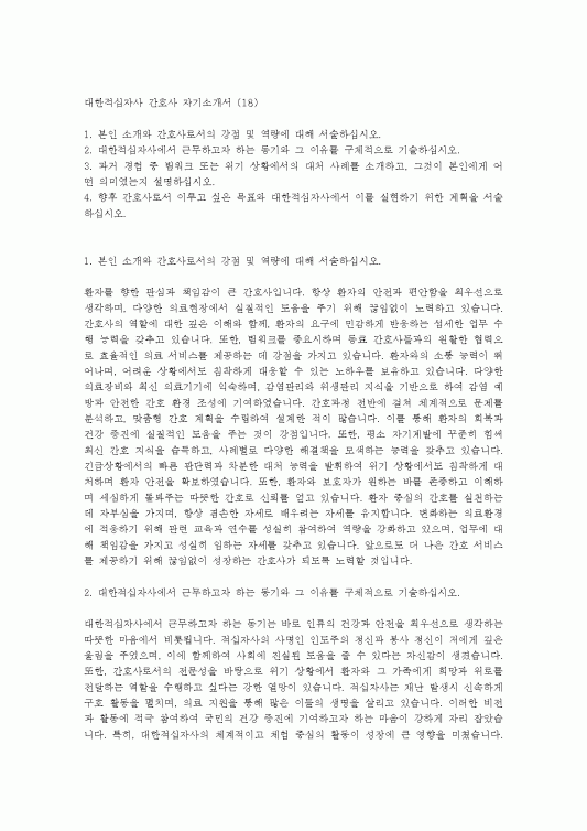 대한적십자사 간호사 자기소개서 (18)