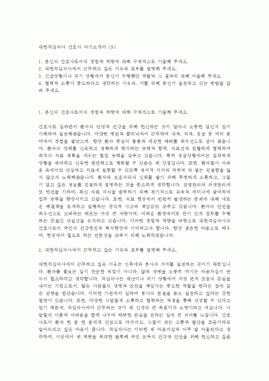 대한적십자사 간호사 자기소개서 (9)