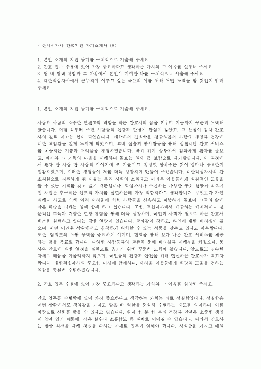 대한적십자사 간호직원 자기소개서 (5)