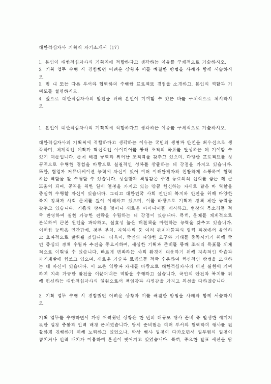 대한적십자사 기획직 자기소개서 (17)