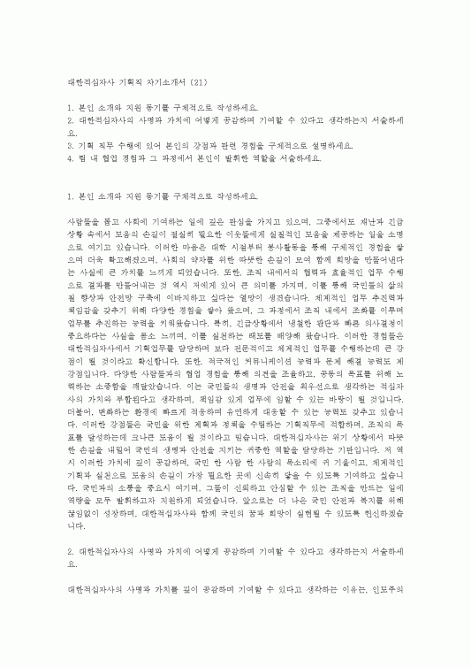 대한적십자사 기획직 자기소개서 (21)