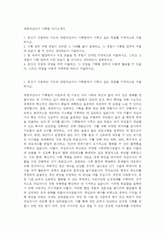 대한적십자사 기획팀 자기소개서
