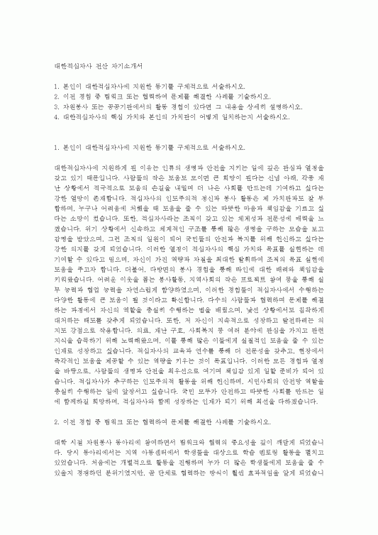 대한적십자사 전산 자기소개서