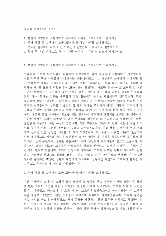 영업직 자기소개서 (13)
