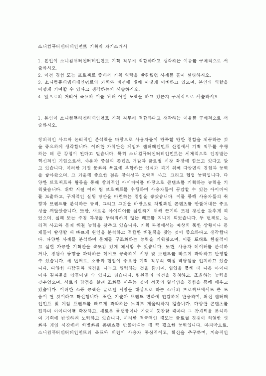 소니컴퓨터엔터테인먼트 기획직 자기소개서