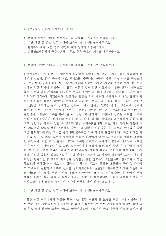 은평성모병원 간호사 자기소개서 (13)