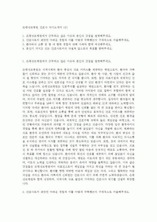 은평성모병원 간호사 자기소개서 (6)