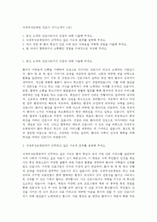 의정부성모병원 간호사 자기소개서 (26)