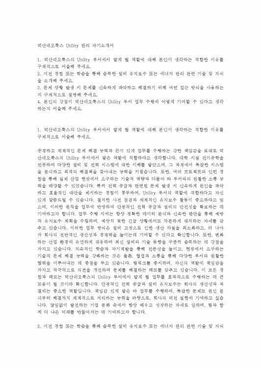 덕산네오룩스 Utility 관리 자기소개서