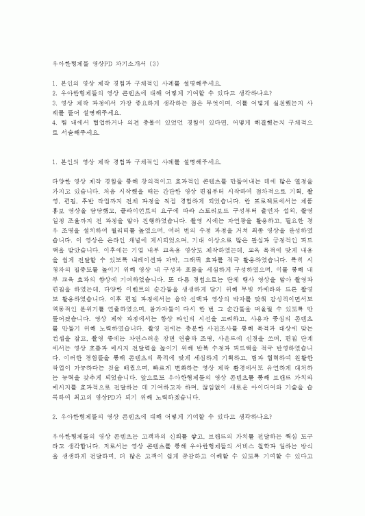 우아한형제들 영상PD 자기소개서 (3)