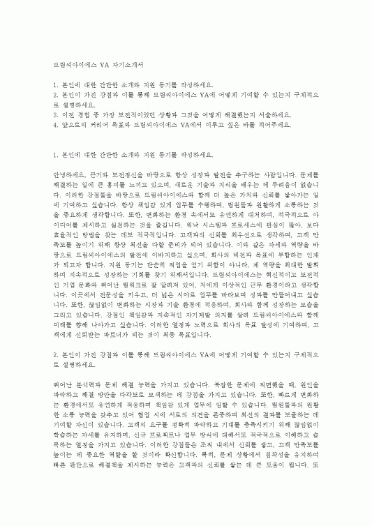 드림씨아이에스 VA 자기소개서