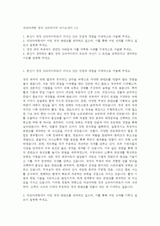 에코마케팅 영상 크리에이터 자기소개서 (3)