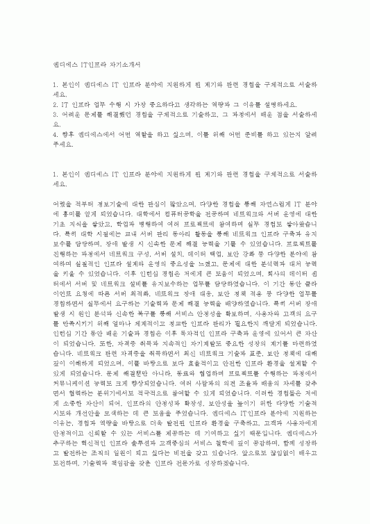 엔디에스 IT인프라 자기소개서