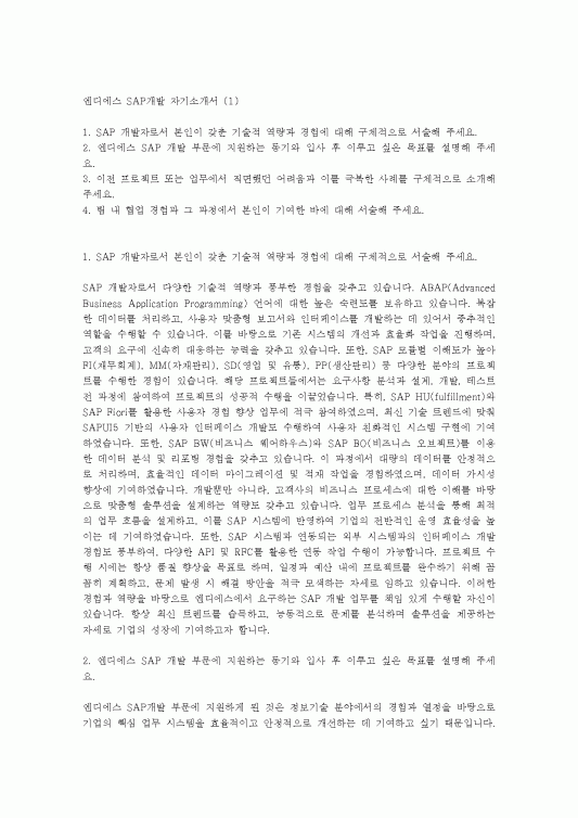 엔디에스 SAP개발 자기소개서 (1)