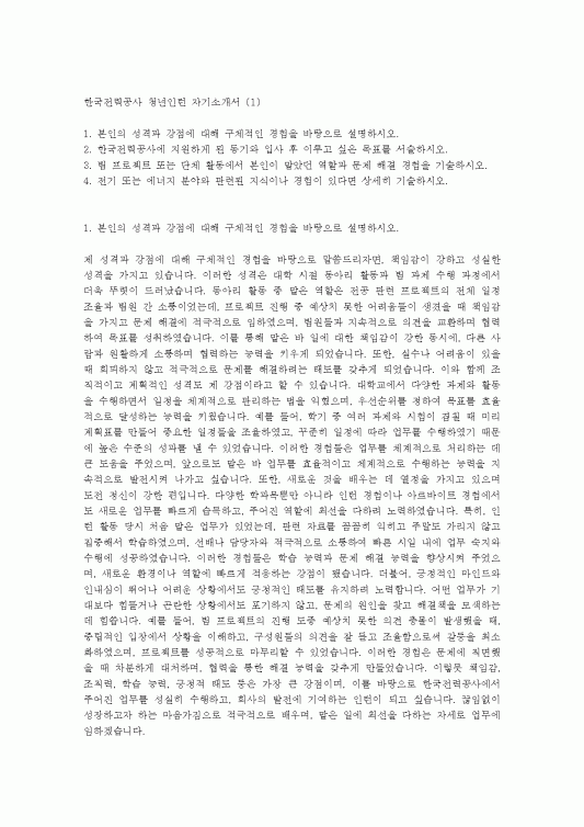 한국전력공사 청년인턴 자기소개서 (1)