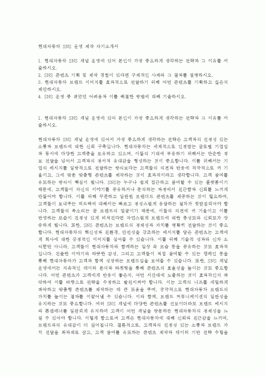 현대자동차 SNS 운영 제작 자기소개서