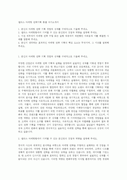 엘리스 마케팅 전략기획 총괄 자기소개서