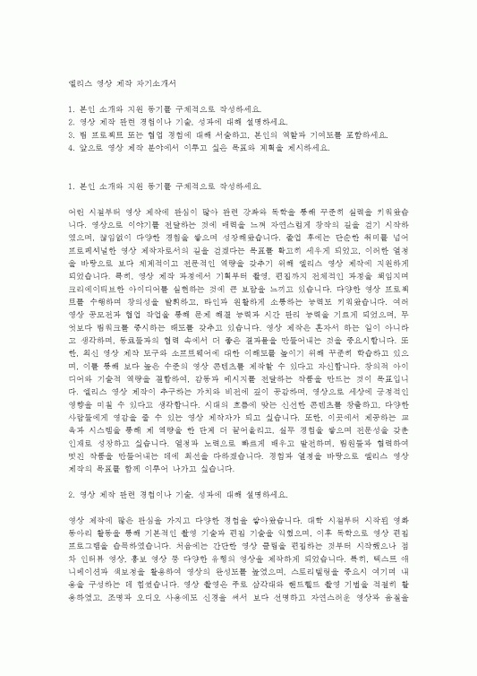 엘리스 영상 제작 자기소개서