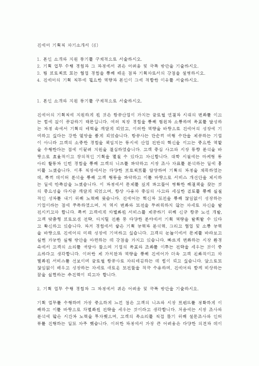 진에어 기획직 자기소개서 (6)