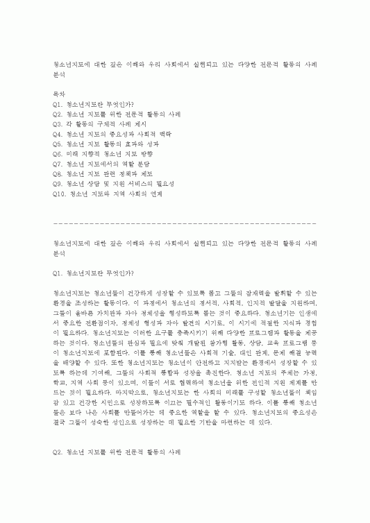 청소년지도에 대한 깊은 이해와 우리 사회에서 실현되고 있는 다양한 전문적 활동의 사례 분석