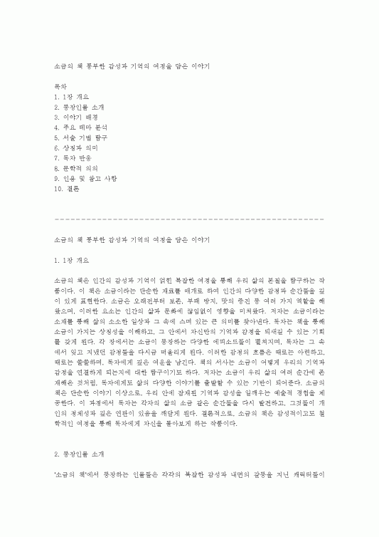 소금의 책 풍부한 감성과 기억의 여정을 담은 이야기
