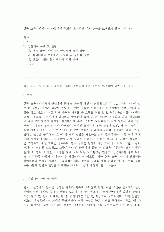 한국 노동시장에서의 산업재해 문제와 효과적인 대처 방안을 모색하기 위한 사례 분석