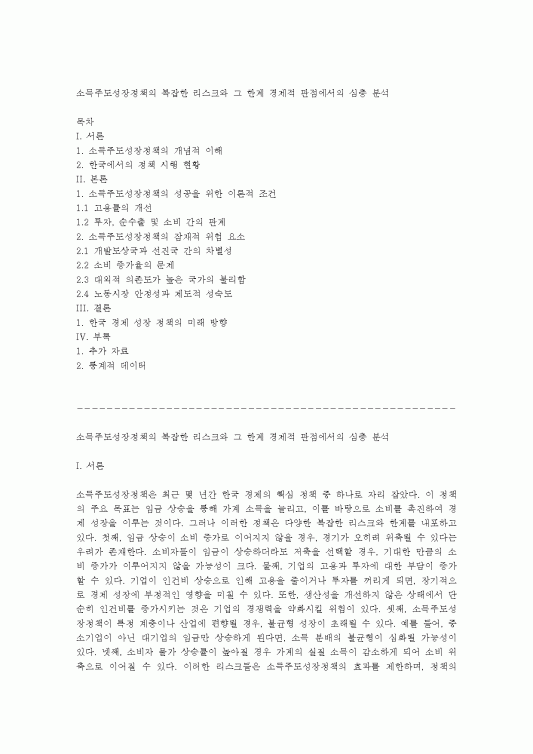 소득주도성장정책의 복잡한 리스크와 그 한계 경제적 관점에서의 심층 분석