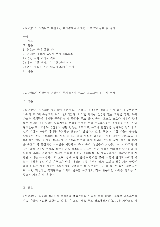 2022년도에 시행되는 혁신적인 복지정책의 새로운 프로그램 분석 및 평가