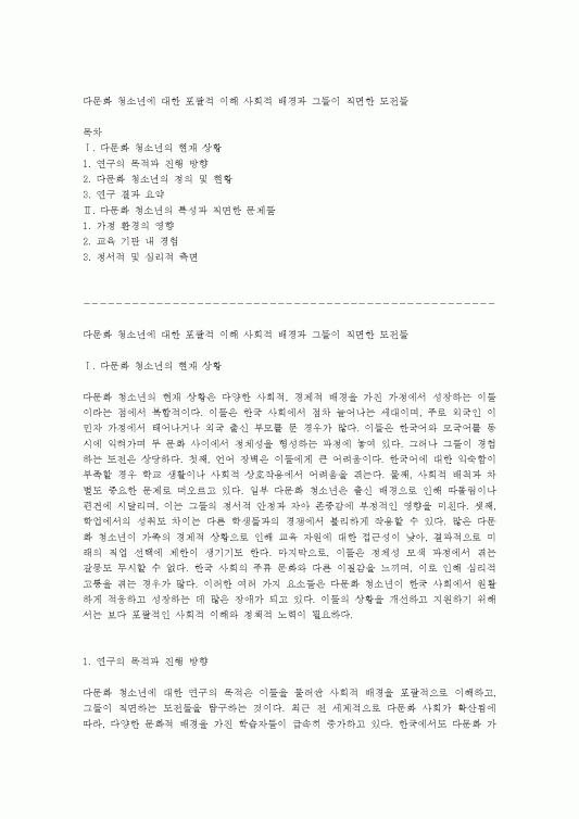 다문화 청소년에 대한 포괄적 이해 사회적 배경과 그들이 직면한 도전들